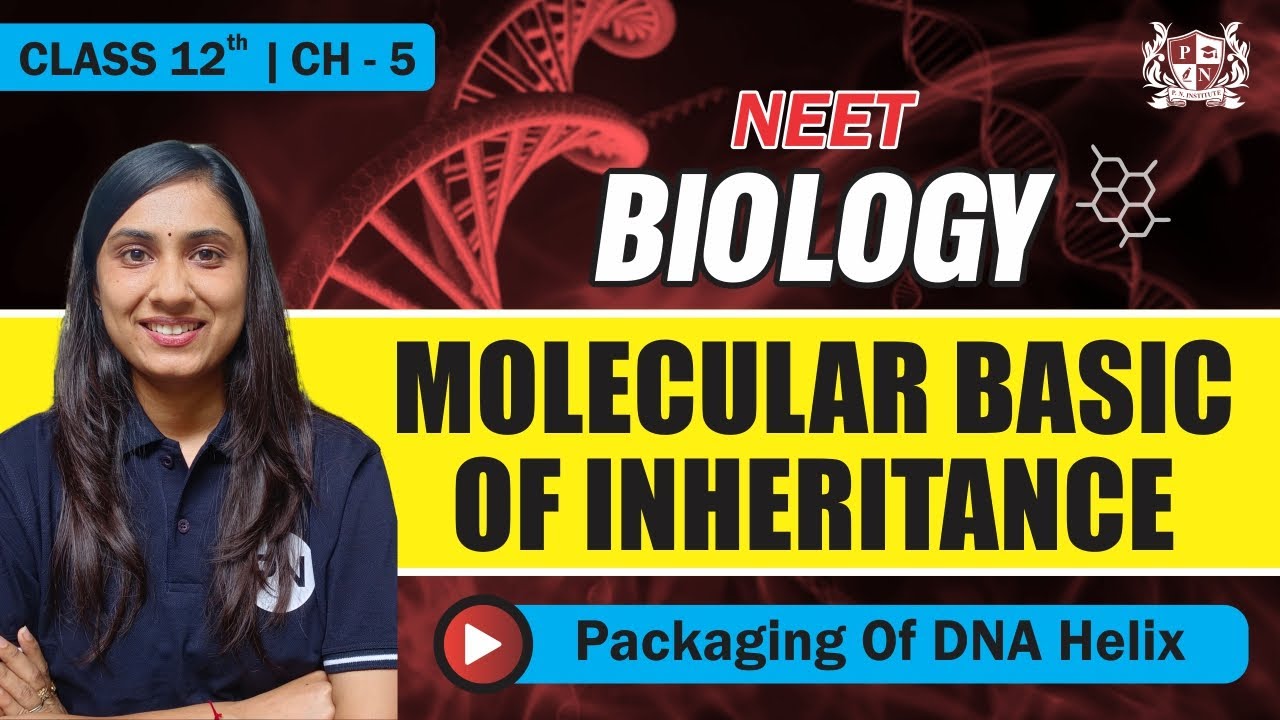 Packaging Of DNA Helix | Topic 3 | CH 5 MBOI | For Class 12 | Biology ...