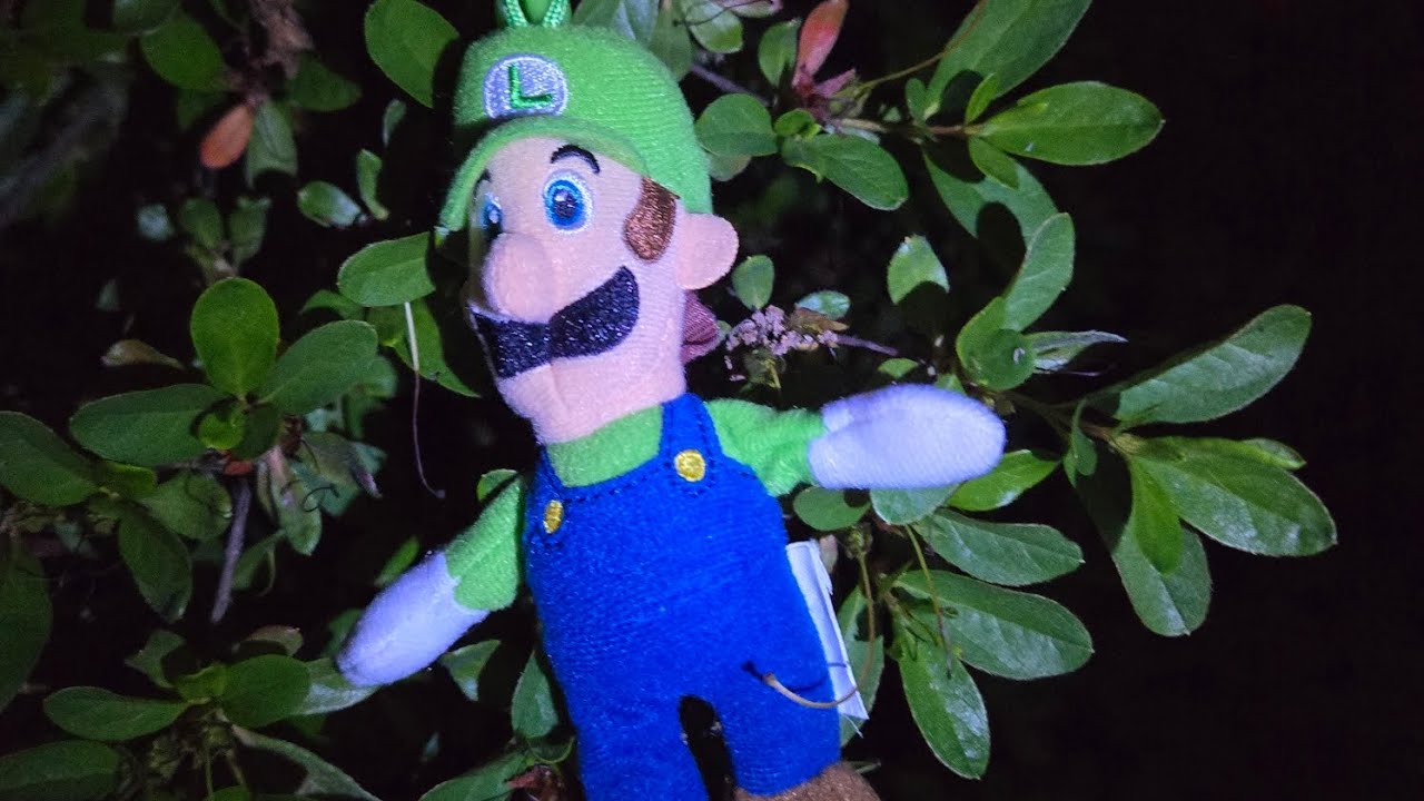 SSG014 Plush - Cousin Weegee - YouTube