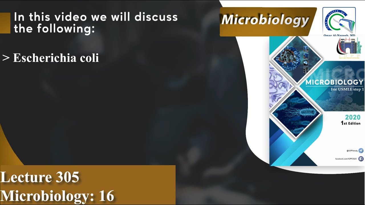 Escherichia coli - YouTube