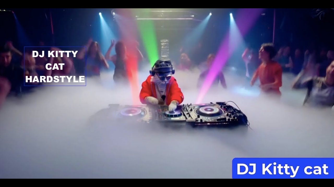 DJ Kitty Cat – Pure House Energy 😺🎧🔥. #housemusic #trance #hardstyle # ...