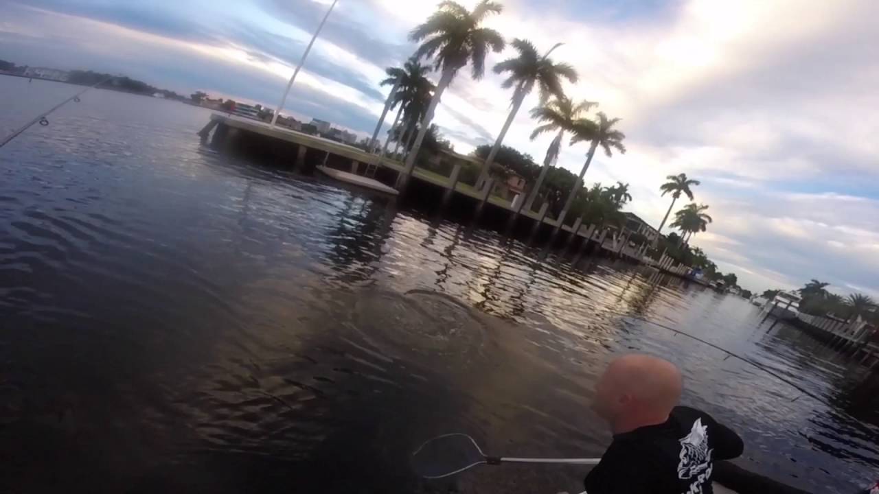 42 inch monster snook - YouTube
