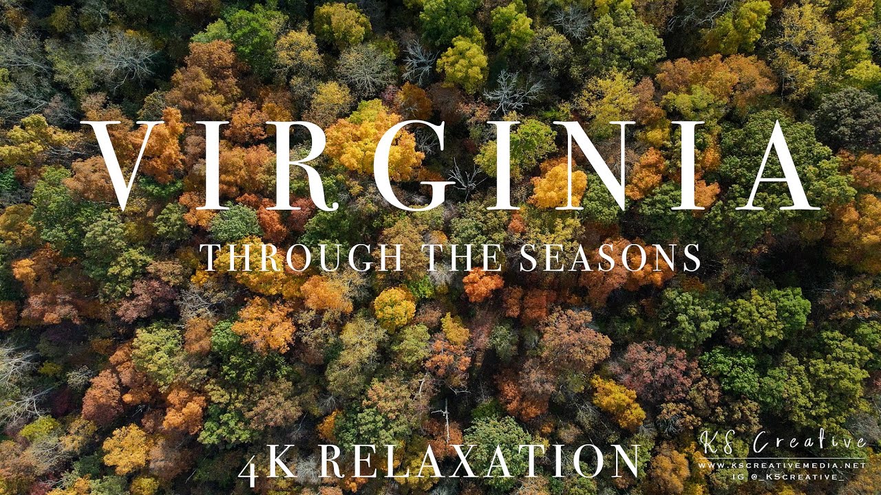 4K Soothing Relaxation: Scenic Virginia Seen Through Each Season - YouTube
