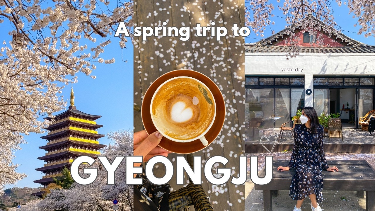 Best Places to See Cherry Blossoms in Gyeongju 🌸 Spring in Korea - YouTube