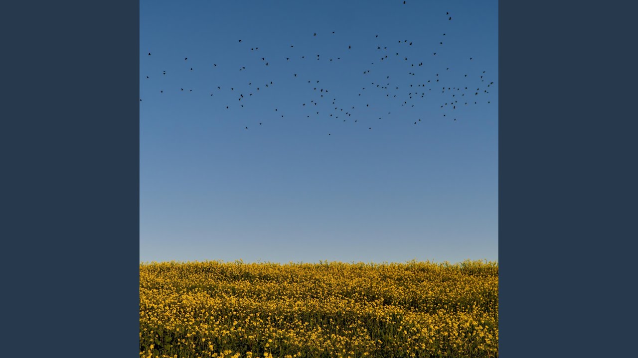 Waltz For One Person - YouTube