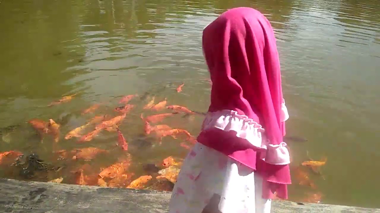 Si boru ngasi makan ikan - YouTube