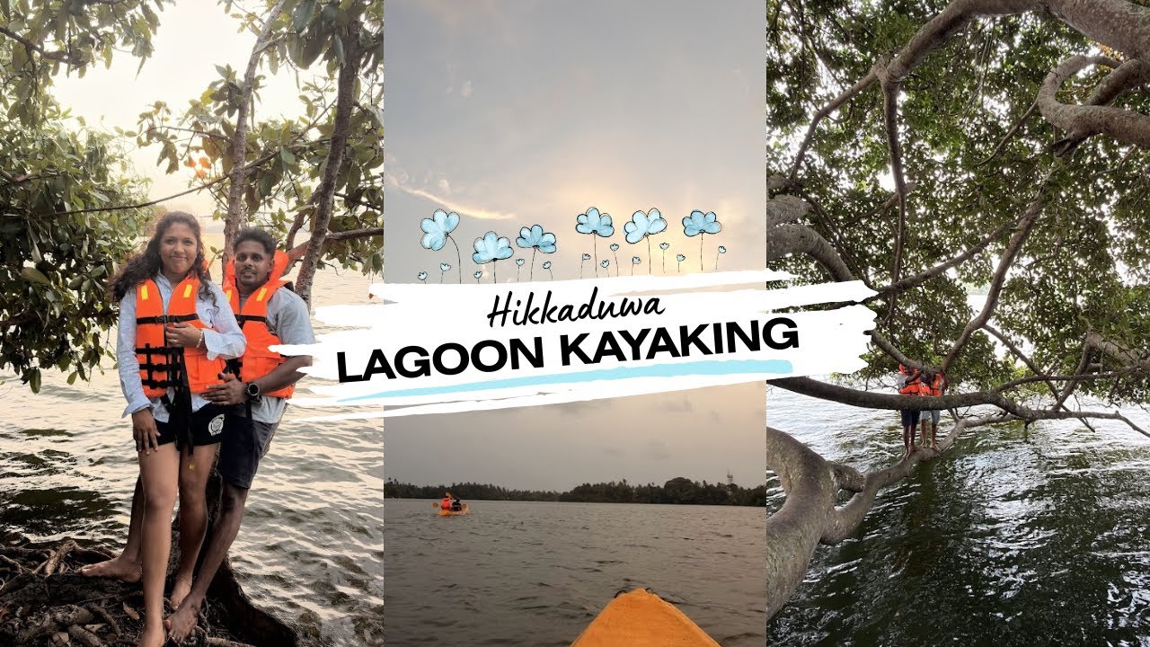 Hikkaduwa Lagoon එකේ Kayaking | 1500/=ට කඩොලාන මැද්දෙන් Kayaking යමුද ...