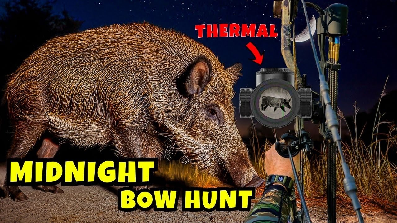 BOWHUNTING HOGS At NIGHT With A THERMAL! - YouTube