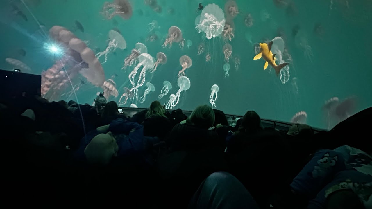 Experience Plymouth's Immersive Dome: A Visual Spectacle! - YouTube