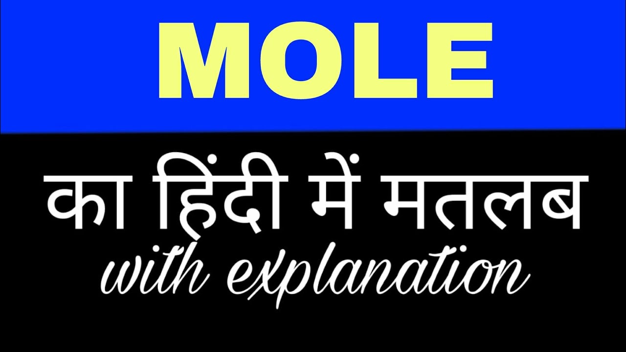 Mole meaning in hindi || mole ka matlab kya hota hai || english to ...