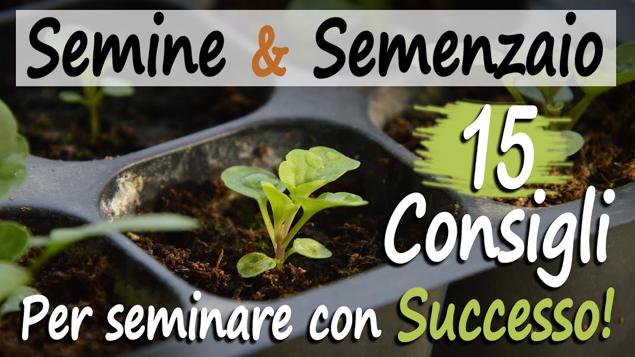 SEMINE e SEMENZAIO |15 TRUCCHI, CONSIGLI, SEGRETI contadini per ...