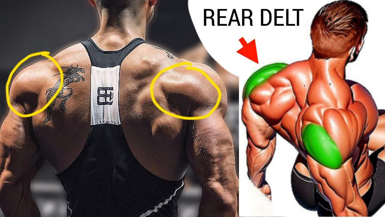 Bigger Rear Delt Workout Tips You Can Do it - YouTube