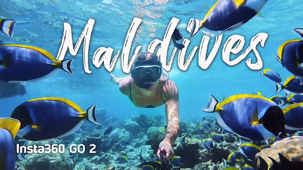 Insta360 GO 2: Perfect Day in the Maldives! (ft Jake Rich & Anna Chah ...