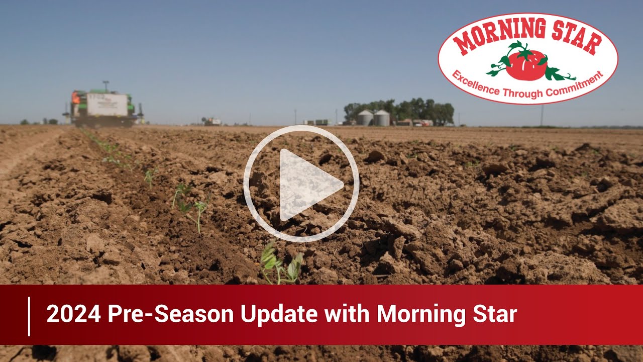 2024 Pre-Season Update: The Morning Star Packing Company - YouTube