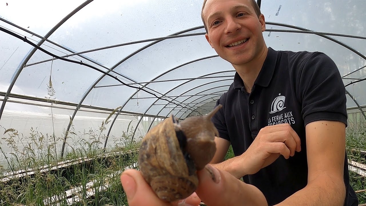 Escargots 🐌 Eating French Food at a Snail Farm - YouTube
