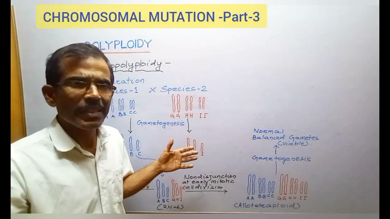 CHROMOSOMAL MUTATION -PART-3 -POLYPLOIDY@SAM BIOLOGY 🧫 CLASS . - YouTube