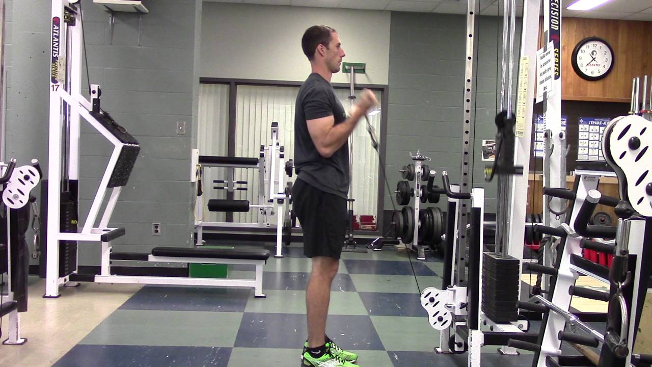 Biceps curl debout à la poulie basse avec barre droite prise supination - YouTube