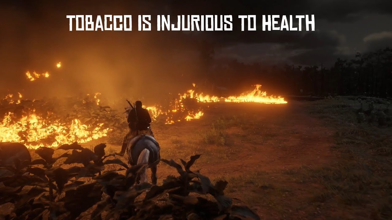 RED DEAD REDEMPTION-Burning Tobacco Field #rdr2 #pcgaming #pc # ...