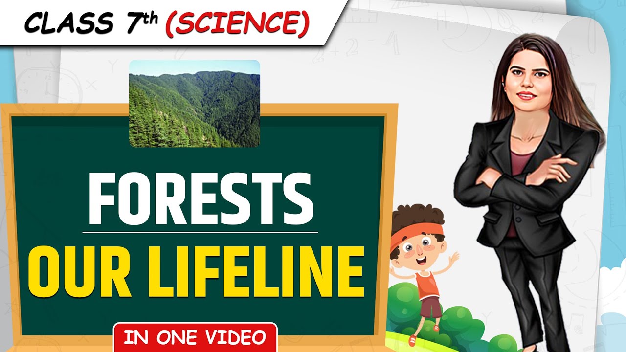 Forests - Our Lifeline || Full Chapter in 1 Video || Class 7th Science ...