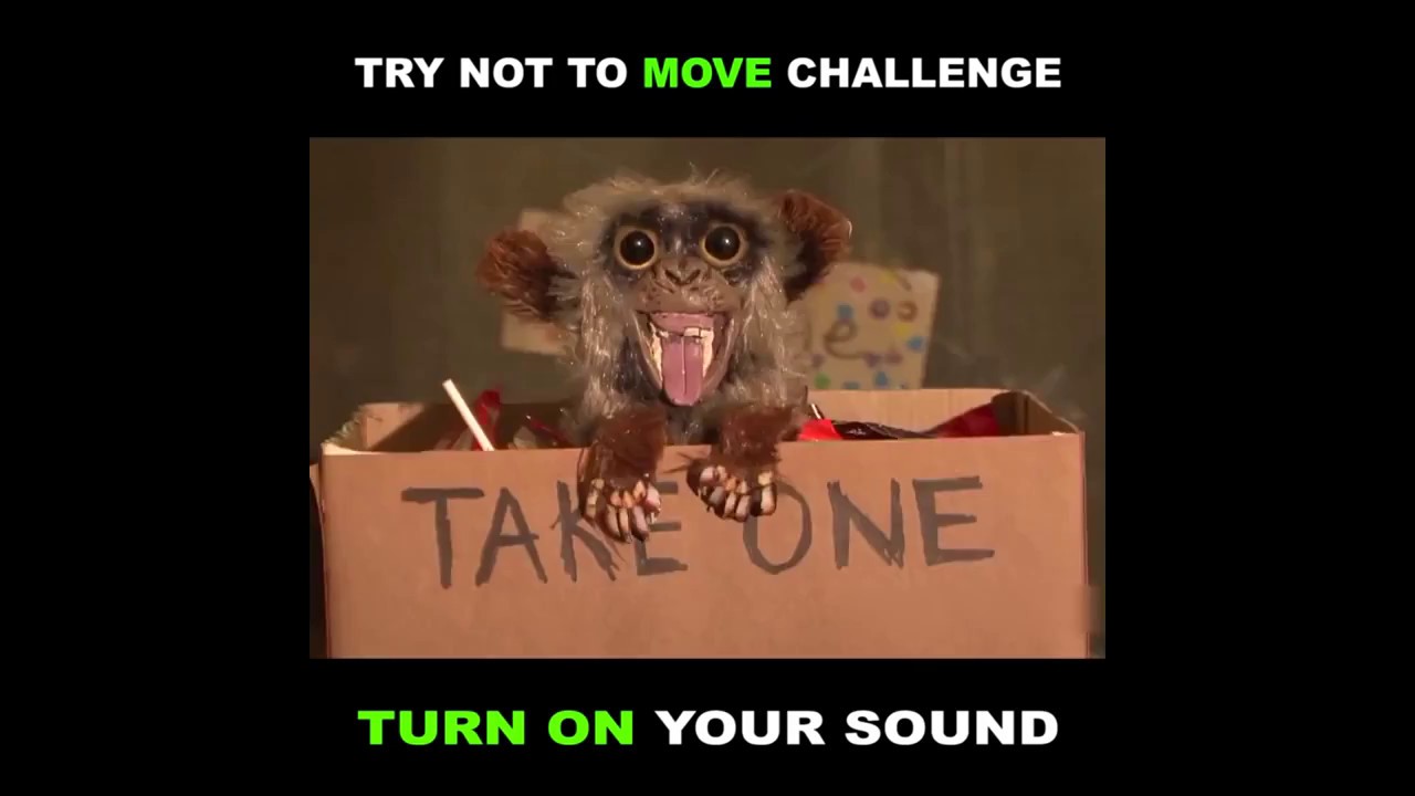 #1 Monkey Sneekums Scare Fun Surprising Toy - YouTube