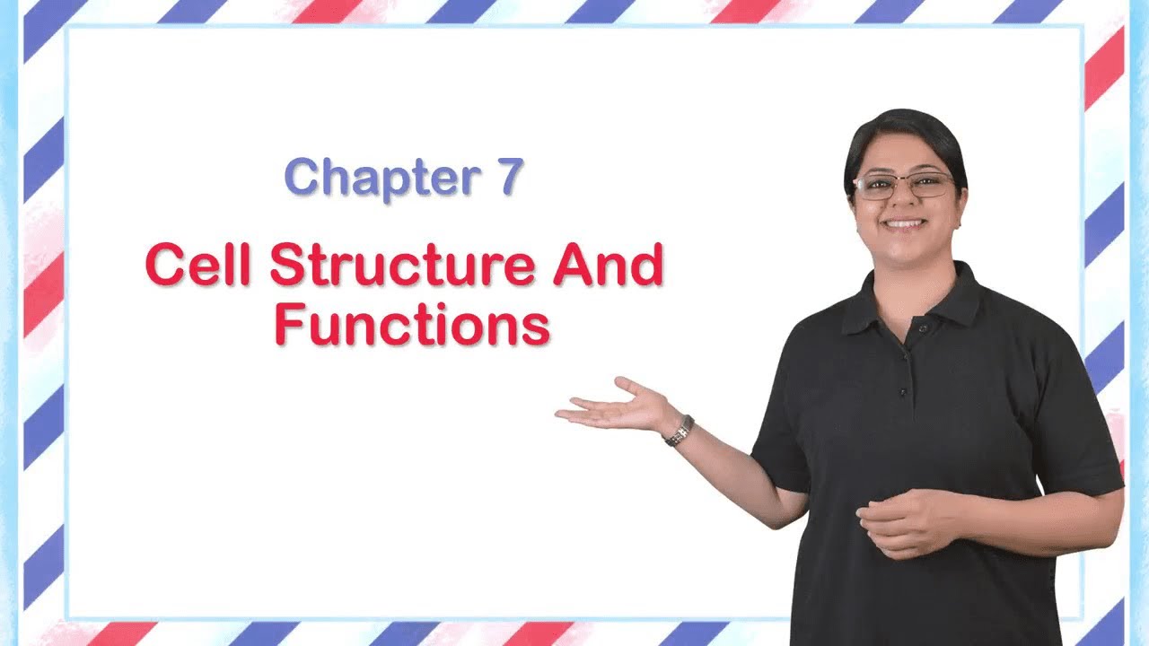 Ch 7 Cell Structure And Functions - YouTube