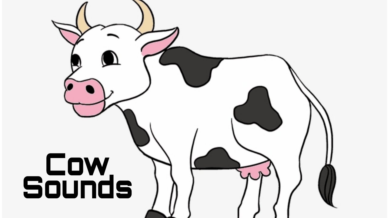 Cow Sounds Effects HD. - YouTube