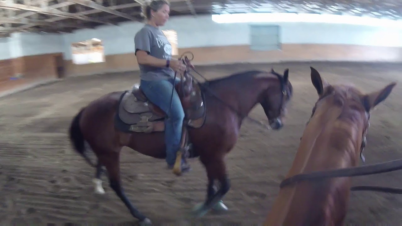 Brandy Murphy Professional Reining Horse Trainer Keeping a Horse ...