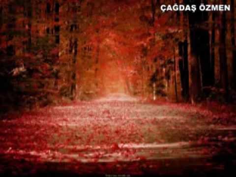 Ceyhun Yılmaz - Mevsimidir (Attila İlhan)(yazılı)