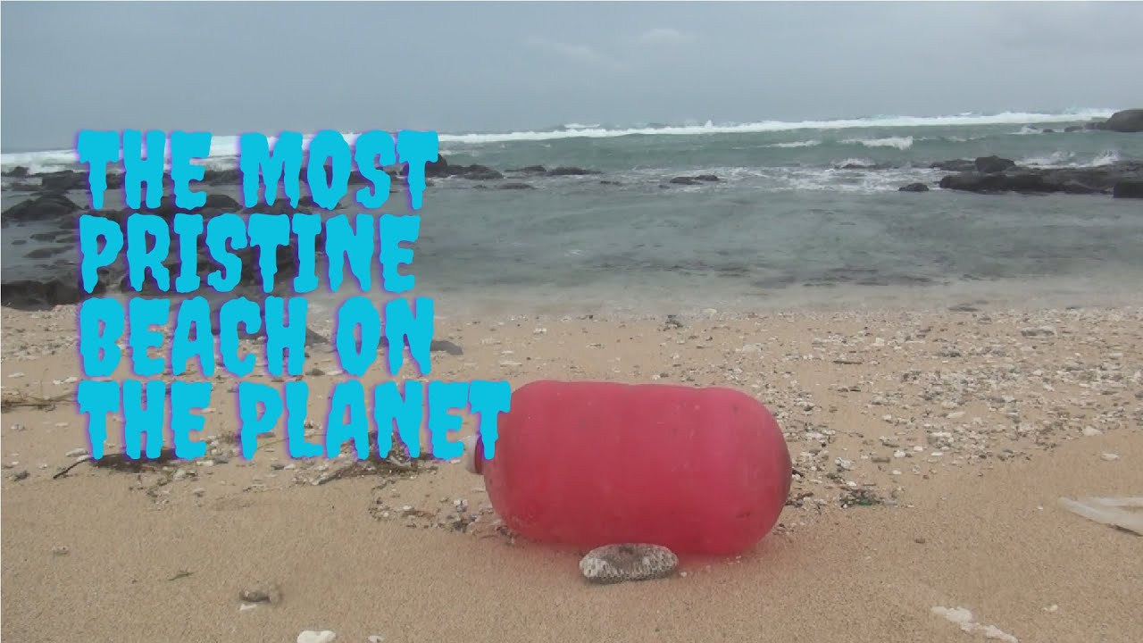 Pick up shells on the most pristine beach on the planet - YouTube