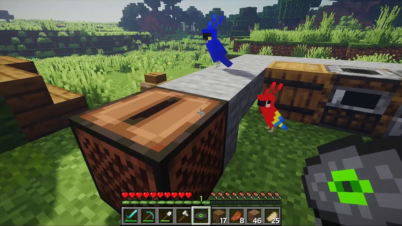 BIRD Dance In Minecraft! - YouTube