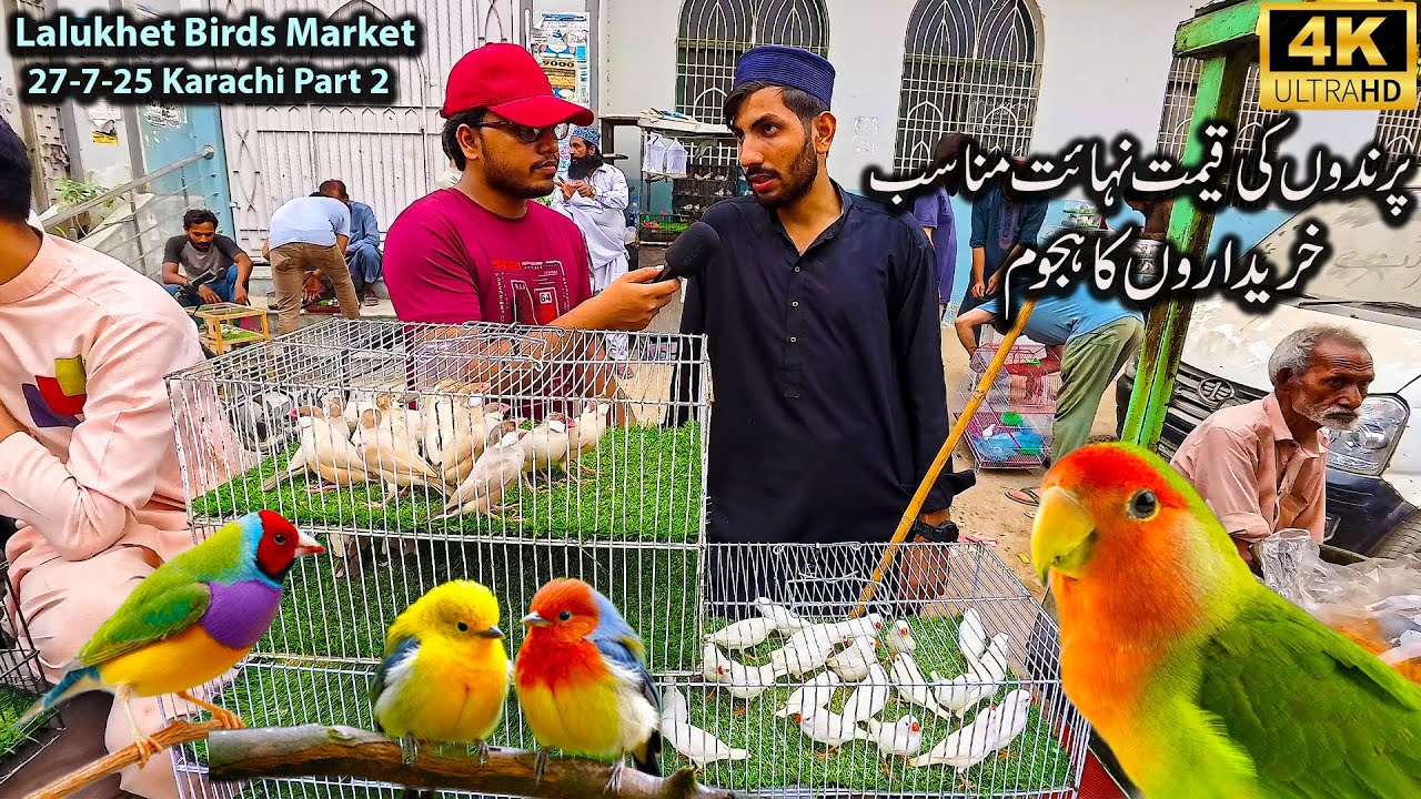 Lalukhet Birds Market Part 2 Karachi | Unique and Rare Birds and ...