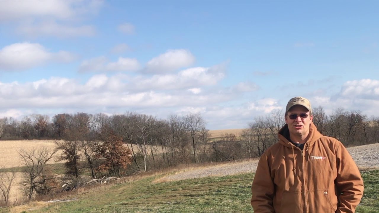 Benefits of Planting Green into Cover Crops - YouTube