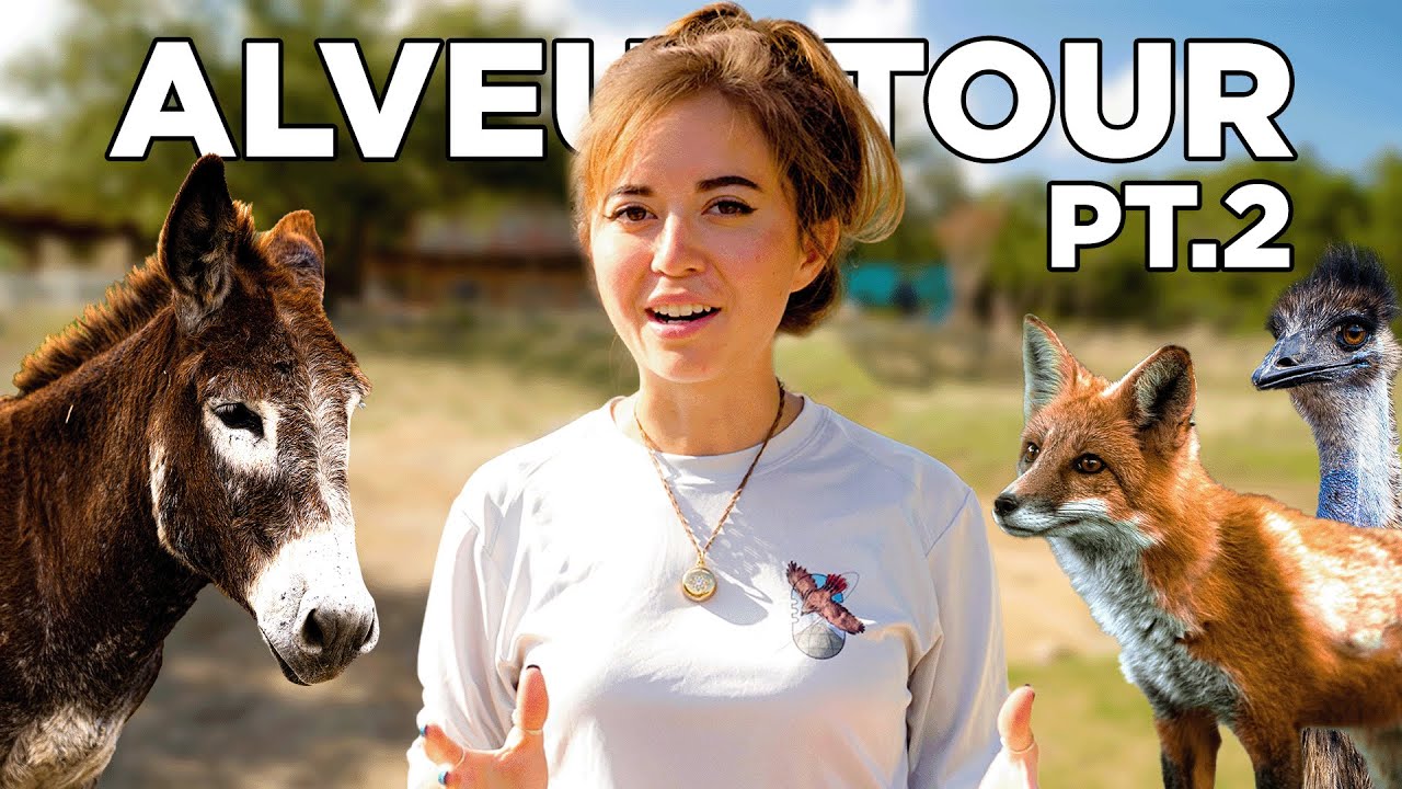 Maya Higa Tours New Animal Sanctuary! (Alveus Tour PT. 2) - YouTube