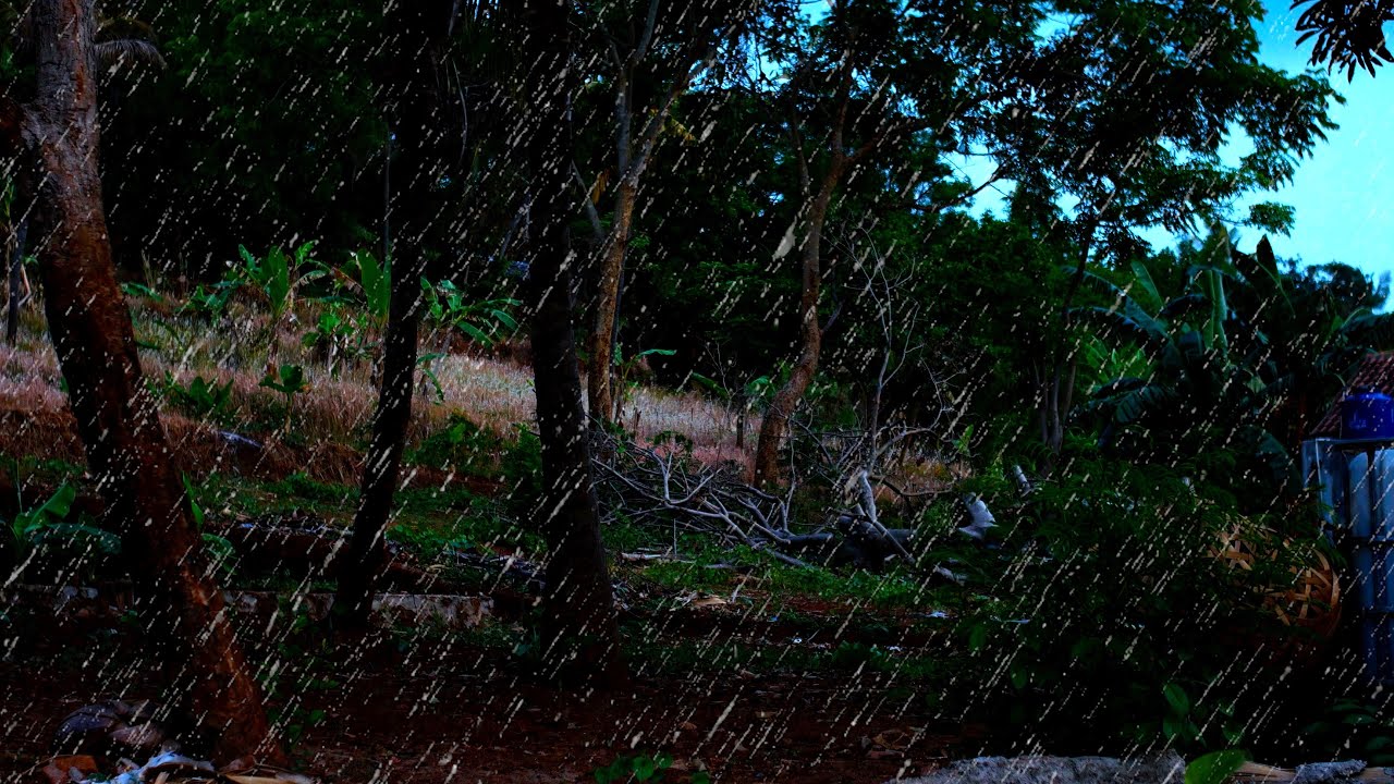 Strong heavy rain sounds and thunderstorm to sleep deeper and more ...