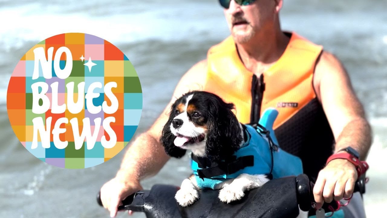 DOG EM'BARKS' ON JET SKI JOURNEY 🐶 | EPISODE 6 - YouTube