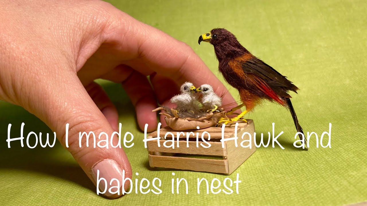 How I made Harris Hawk and babies in nest- Dollhouse polymer clay birds ...