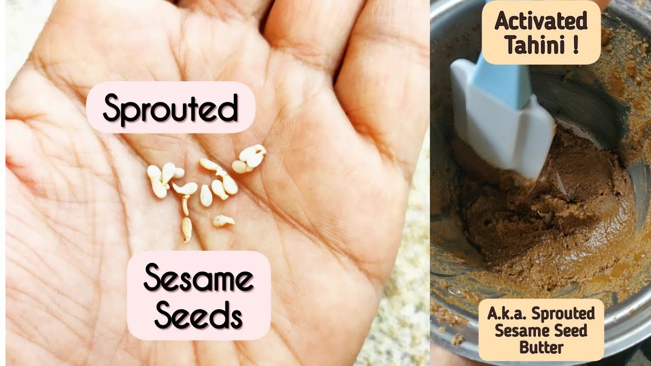 How to make Tahini at home. Sprouted sesame seed butter. - YouTube