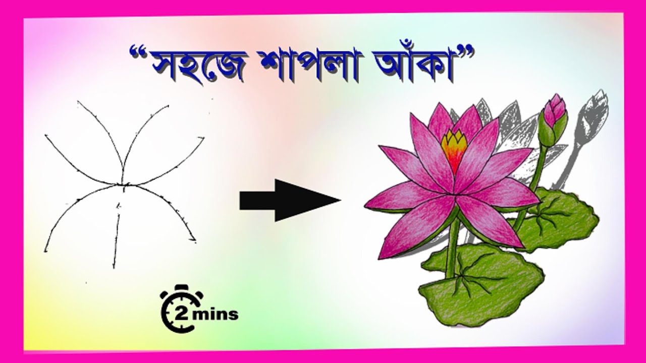 শাপলা ফুল আঁকা ।। how to draw water lily ।। ‍sapla fhul aka - YouTube