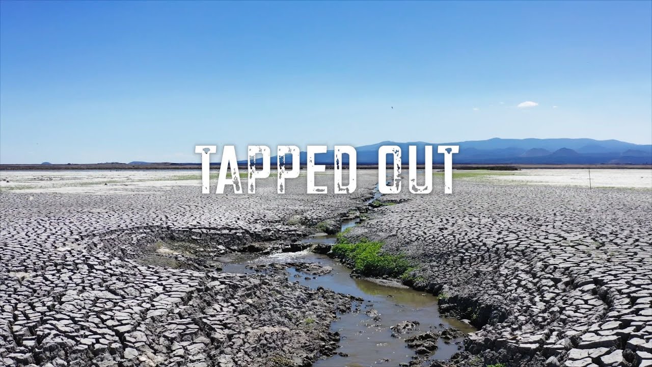 Tapped Out 2 Preview | Premieres September 1 at 7pm - YouTube