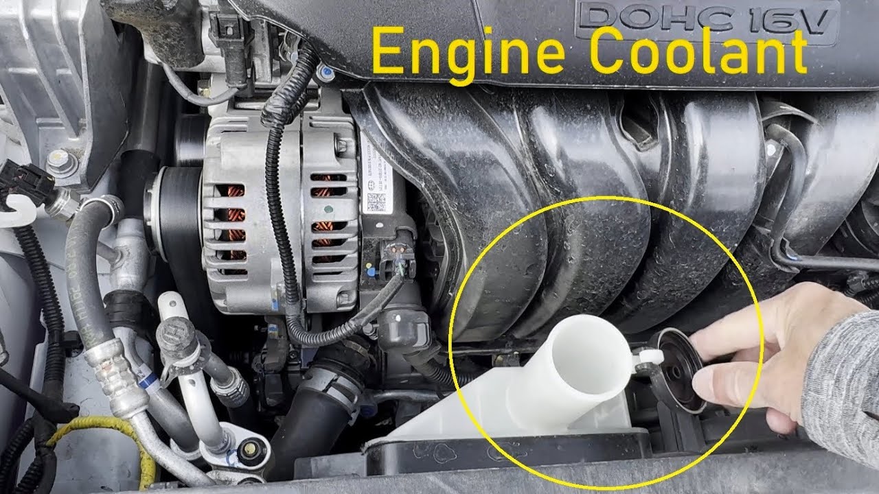 How to Check and Add Engine Coolant in KIA Forte 2018, 2019, 2020, 2021 ...