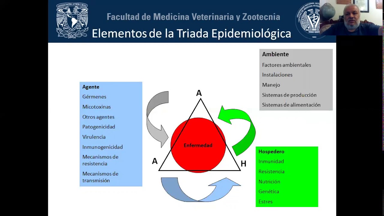 05 La triada epidemiológica - YouTube