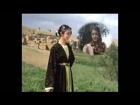 Melek u Veysel - Nare Kürtçe Oyun Havası - (Official Video)