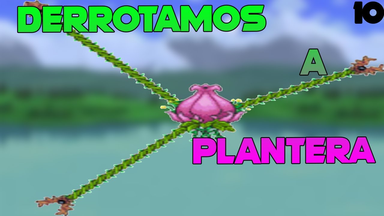 COMO MATAR A PLANTERA,como matar a plantera - YouTube