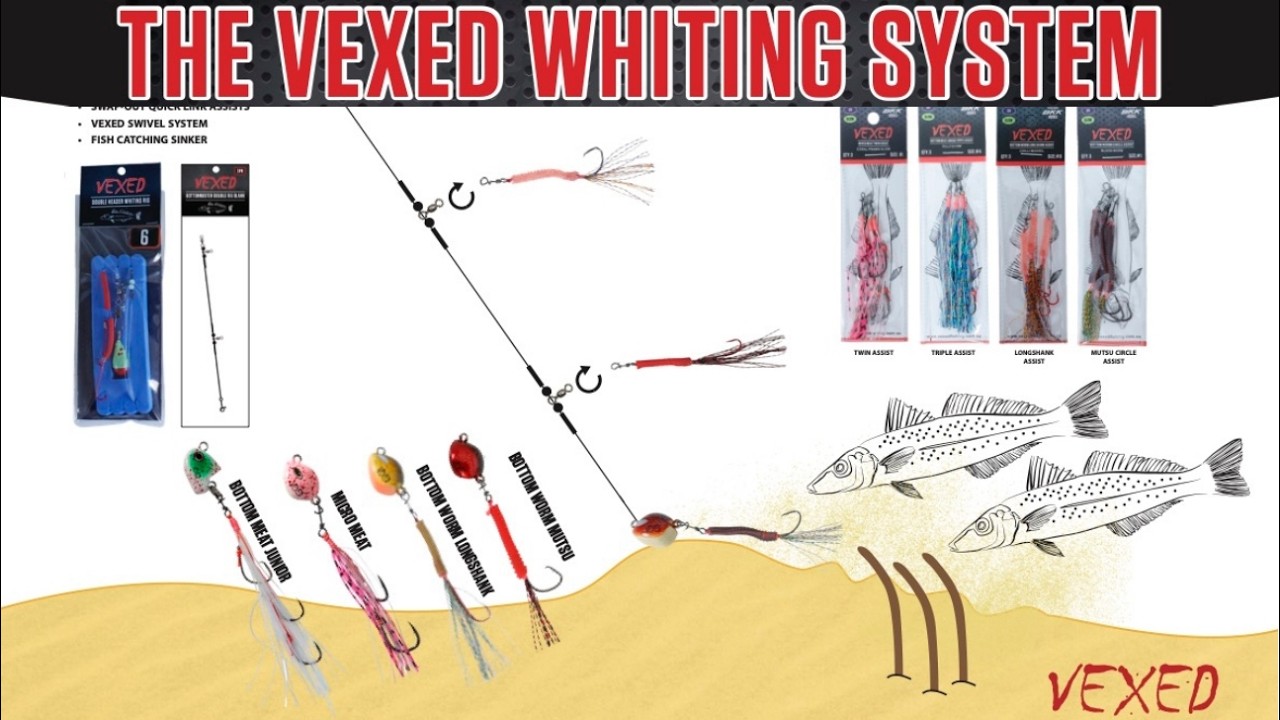 THE VEXED WHITING SYSTEM | Catch More Whiting! - YouTube