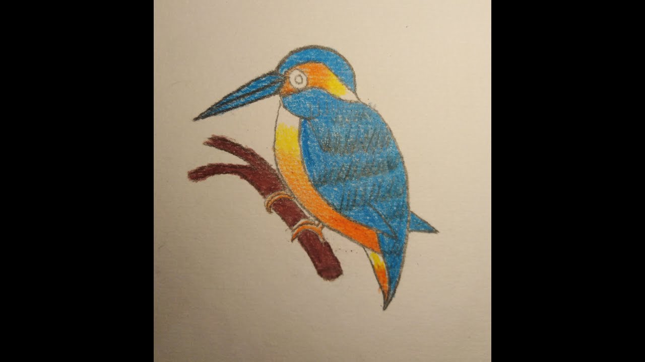 Draw a kingfish easy..মাছরাঙা আকাঁর সহজ কৌশল। - YouTube