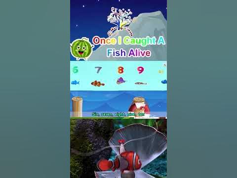 1 2 3 4 5 ONCE I CAUGHT A FISH ALIVE! || 3D CARTOON ANIMATION || EduFam ...