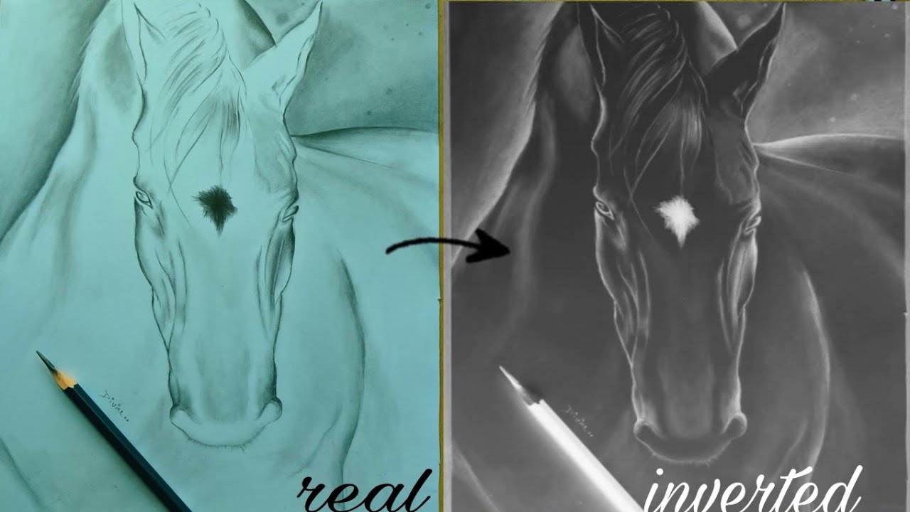 Drawing: horse negative/inverted drawing | negative drawing | divine ...