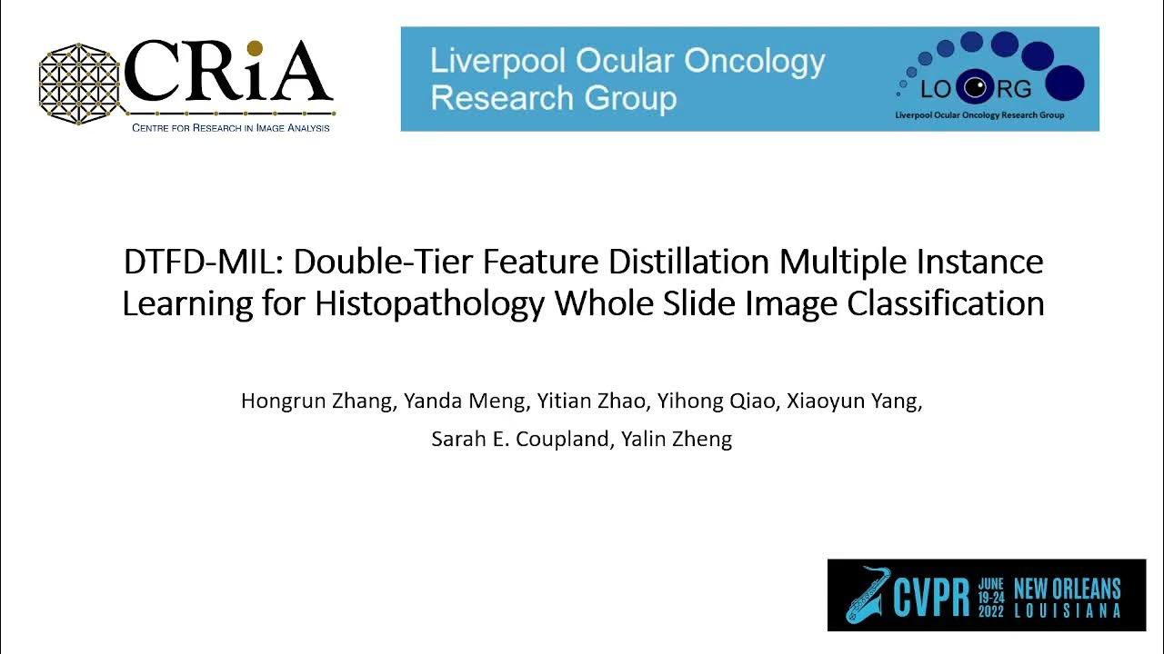 DTFD MIL: Double Tier Feature Distillation Multiple Instance Learning ...