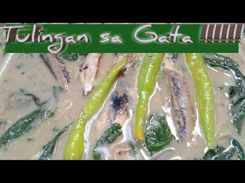 Ginataang Tulingan with Pechay | Cooking 101 | Houseband Tv - YouTube