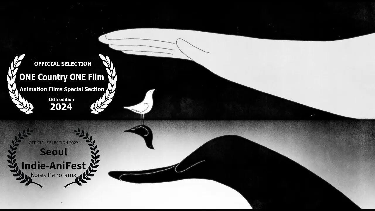 Bird & Shadow | Animation Short Film 2022 - YouTube