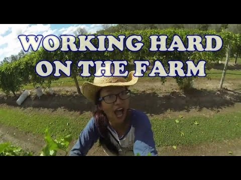 Working hard on the farm... - YouTube